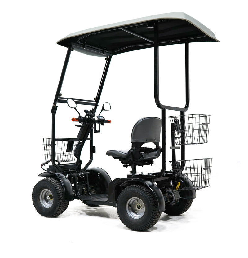 Mobility Golf Carts - Wheels & Chairs